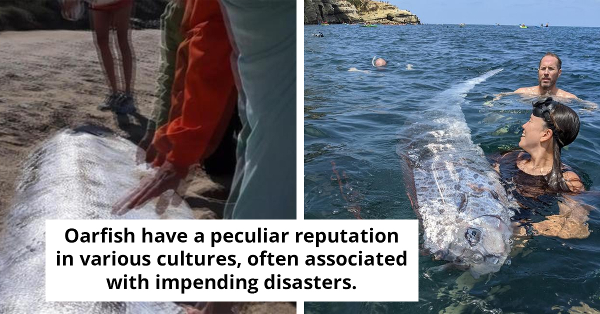 Exceptionally Rare "Doomsday Fish" Discovered Off Southern California ...