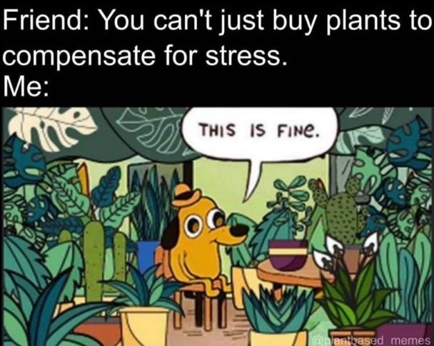 40 Witty Memes For People Who Love Their Plants More Than They Love ...