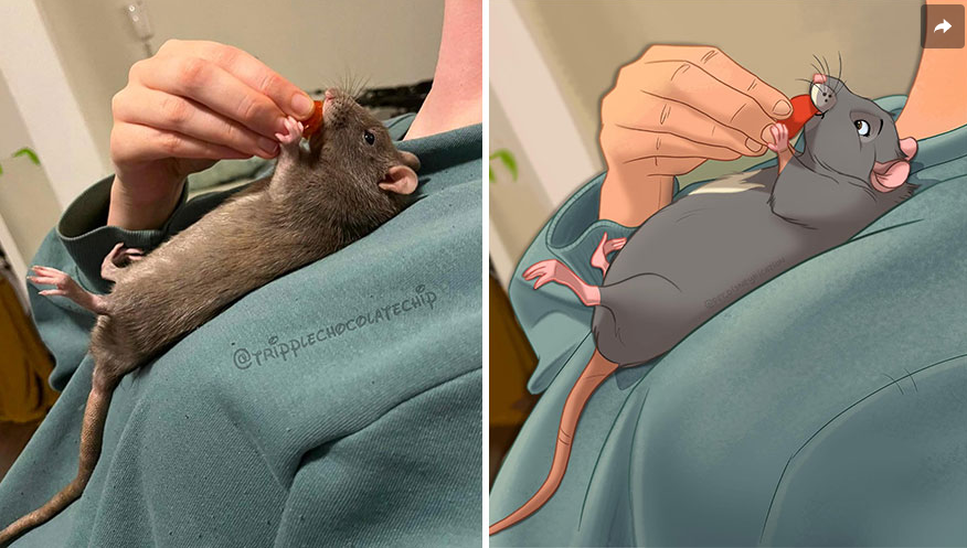 Disneyfied Pets - Turning Furry Friends Into Animated Stars - Memehead