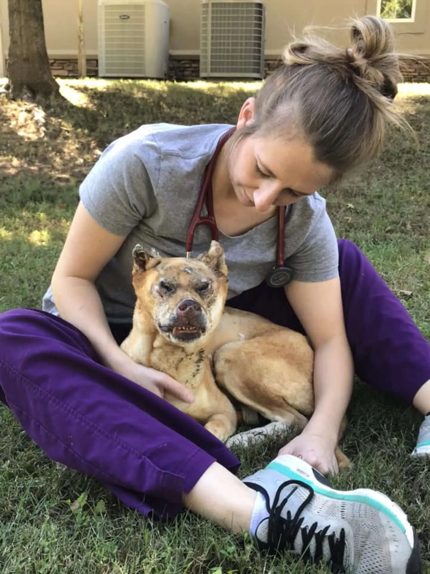 Compassionate Vet Comforts Injured Dog in Kennel After Fire - Memehead